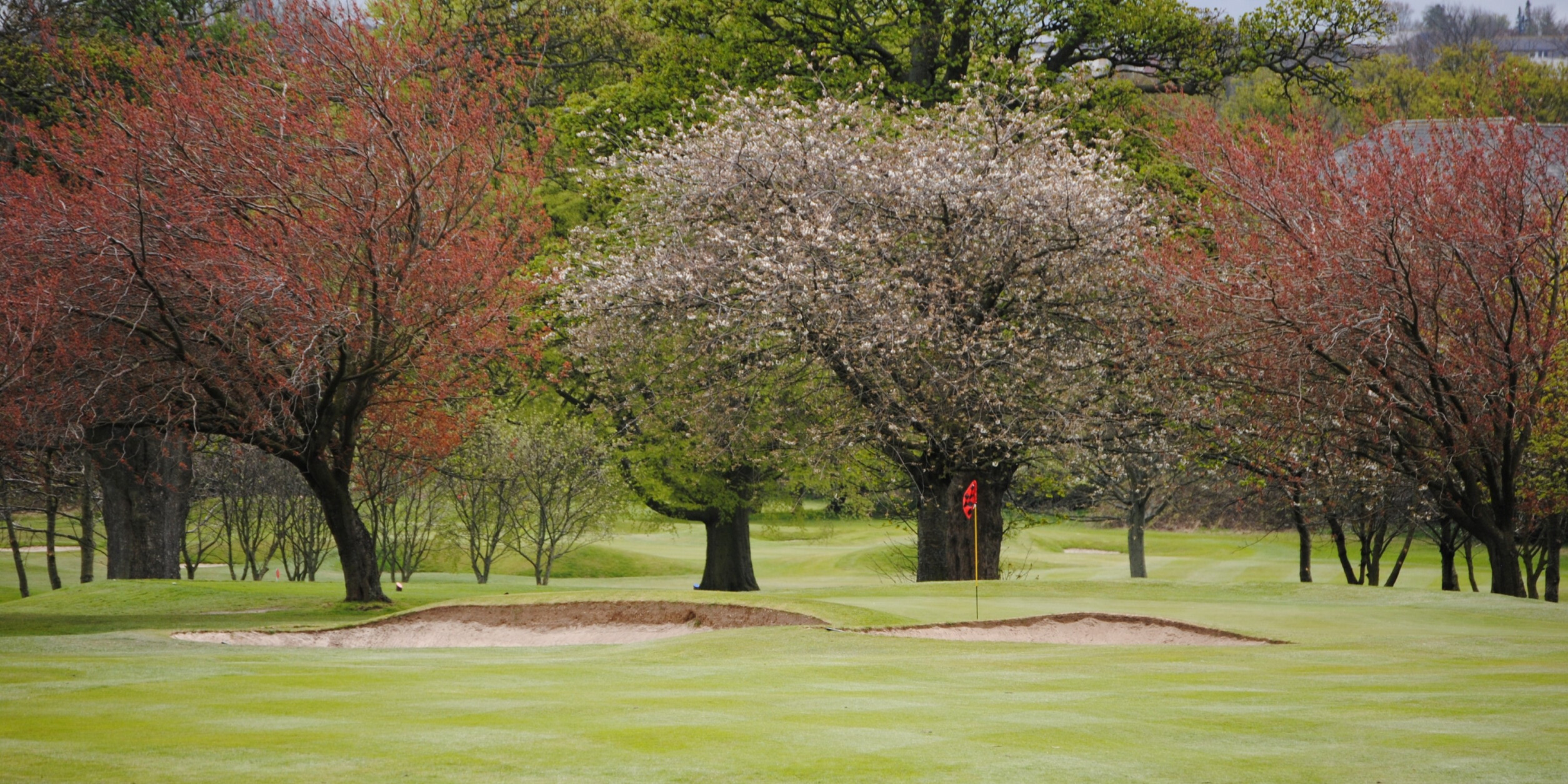 Braid Hills Golf Course, Edinburgh | NCG Top 100s Review